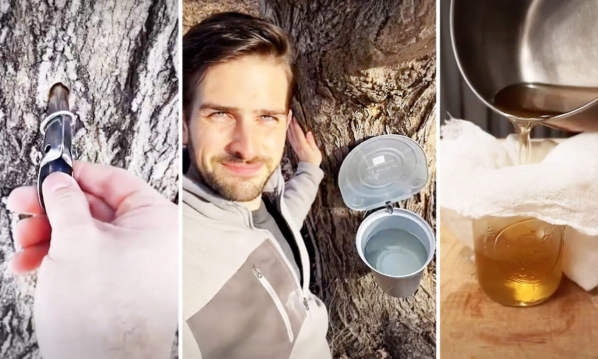 VIDEO: Michigan Dad Shows How Real Maple Syrup Is Made With Traditional ...