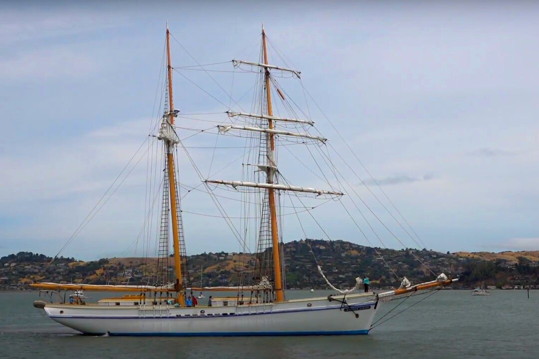 Sailors Preserve Maritime Traditions and Sailing in San Francisco Bay ...