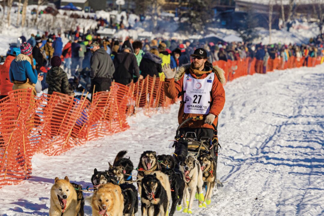 A Champion Wins Alaska’s Toughest Dog Sled Race By Communing with ...