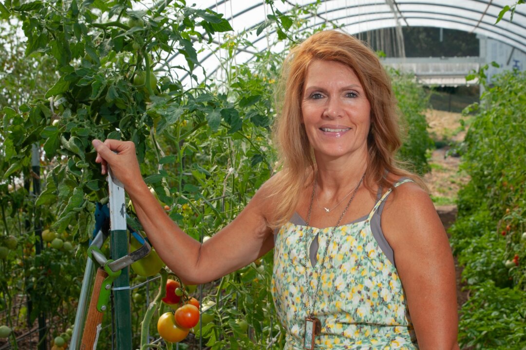 Hands-On Farming School Helps Veterans Find New Purpose and Livelihood ...
