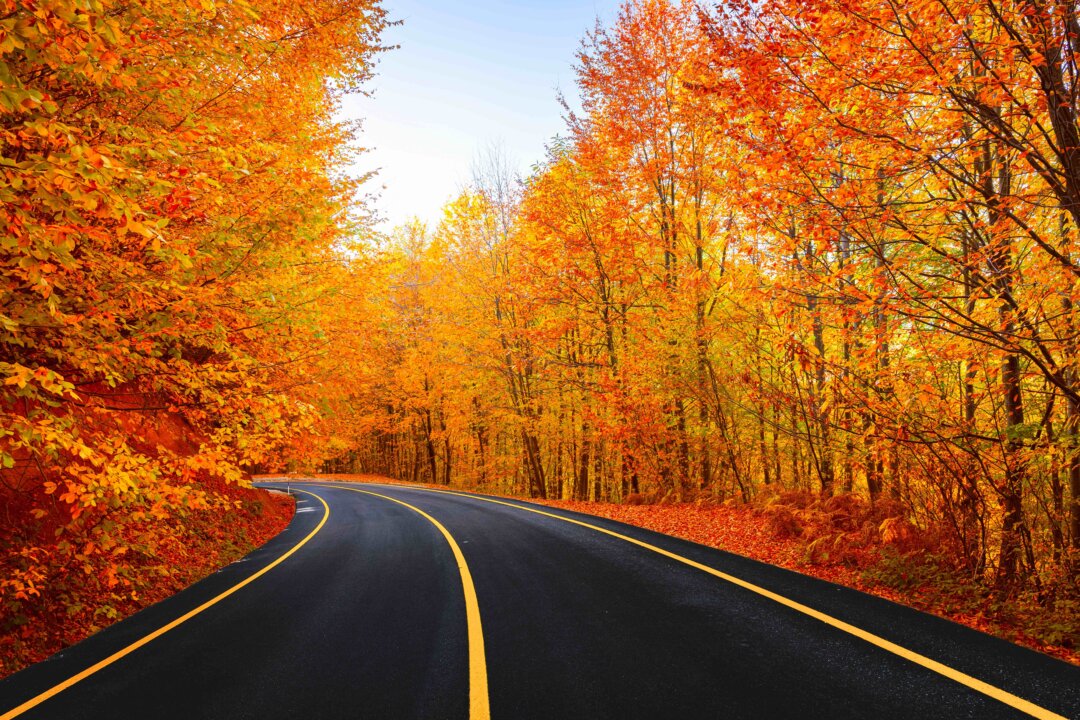 Fall Foliage 2022 | The Epoch Times