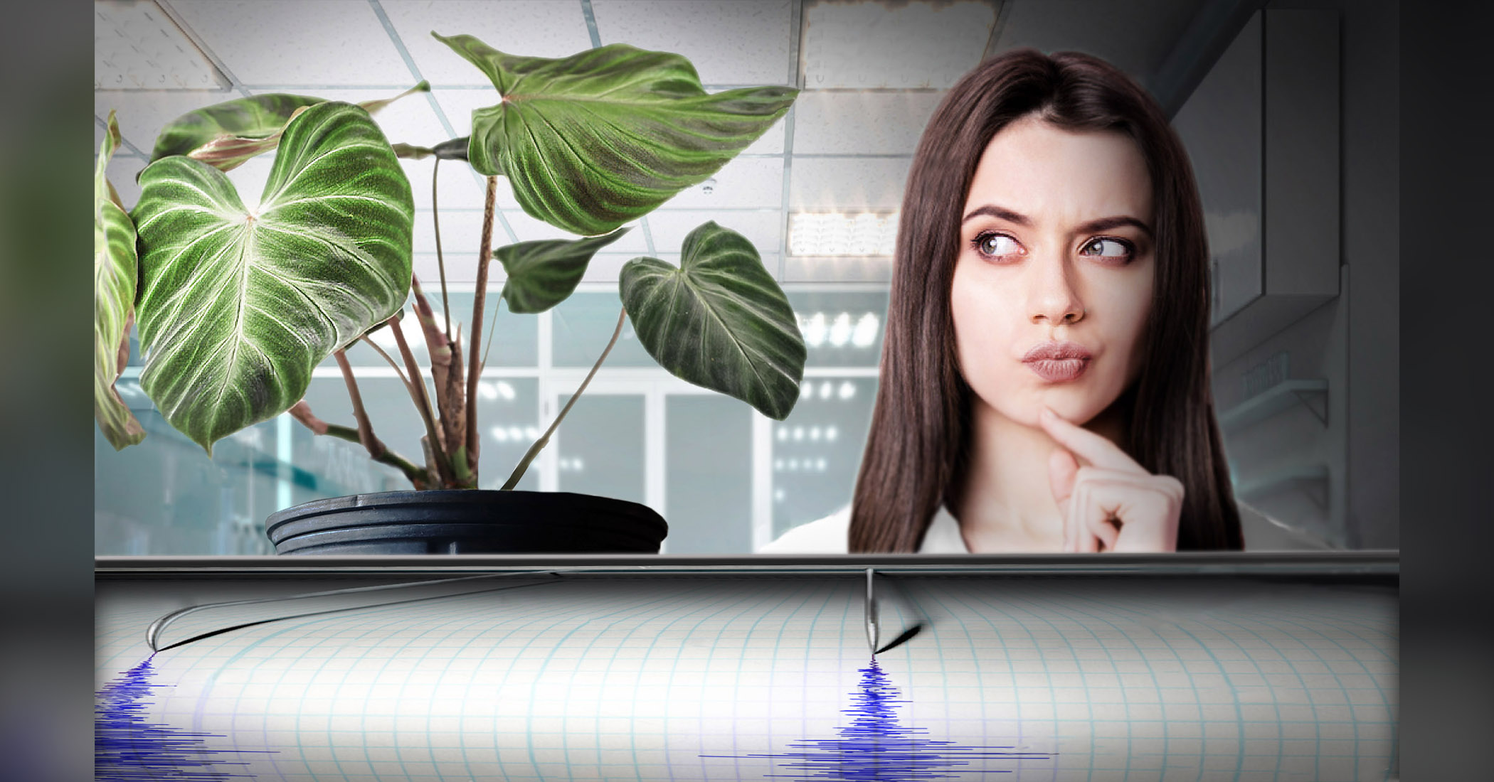 Lie Detectorist Reveals Plants Have Senses, Can Read Minds—And Quantum ...