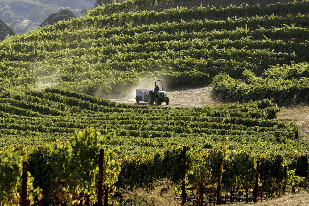 New Wine Project Rekindles Debate on IDA Reform in Orange County | The ...