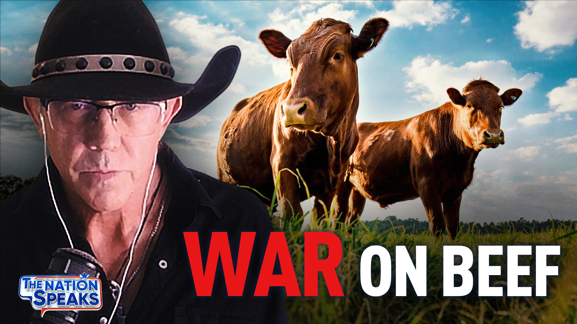 Texas Slim: From Fake Meat to Edible Insects, Truth Behind the War on ...