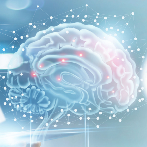 Health | The Epoch Times