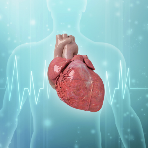 Health | The Epoch Times