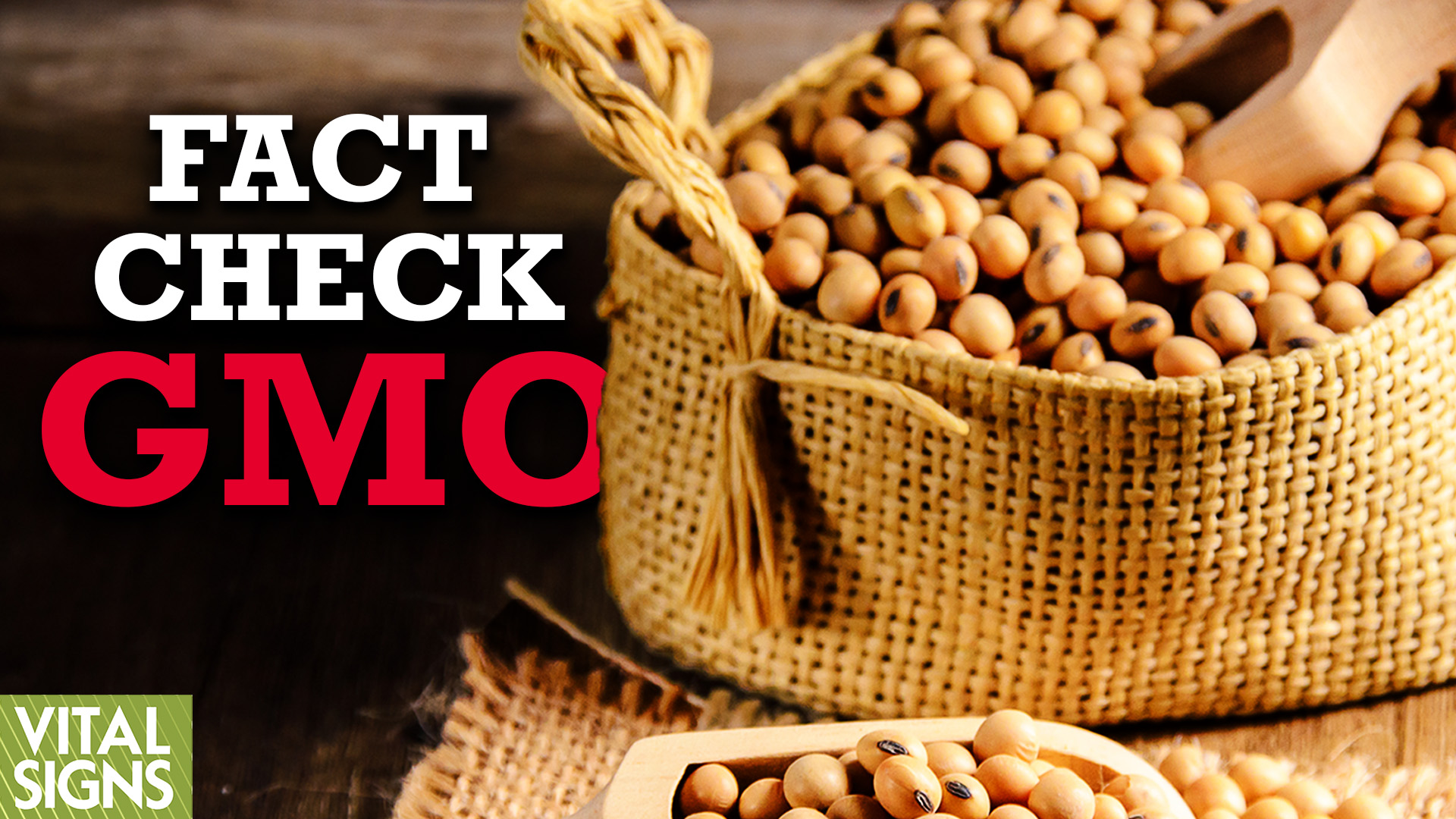 Do Claims About GMOs Hold Up to Reality?How Do GMO Crops Rate Across 3 Key Measures? | EpochTV