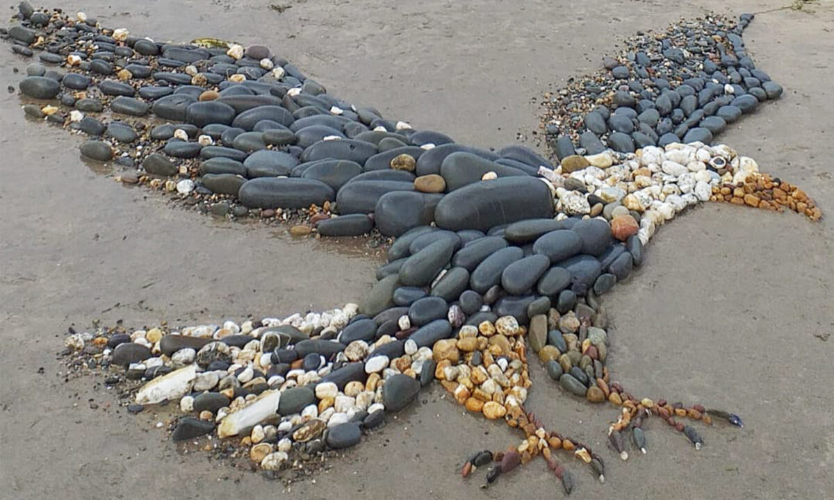 PHOTOS: Family Creates Stunning Artwork Using Pebbles, Turning Beach ...