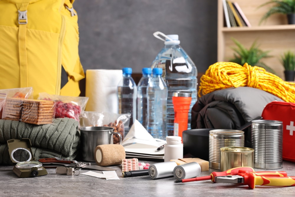 A Beginner’s Guide to Emergency Preparedness: 10 Steps Anyone Can—and ...