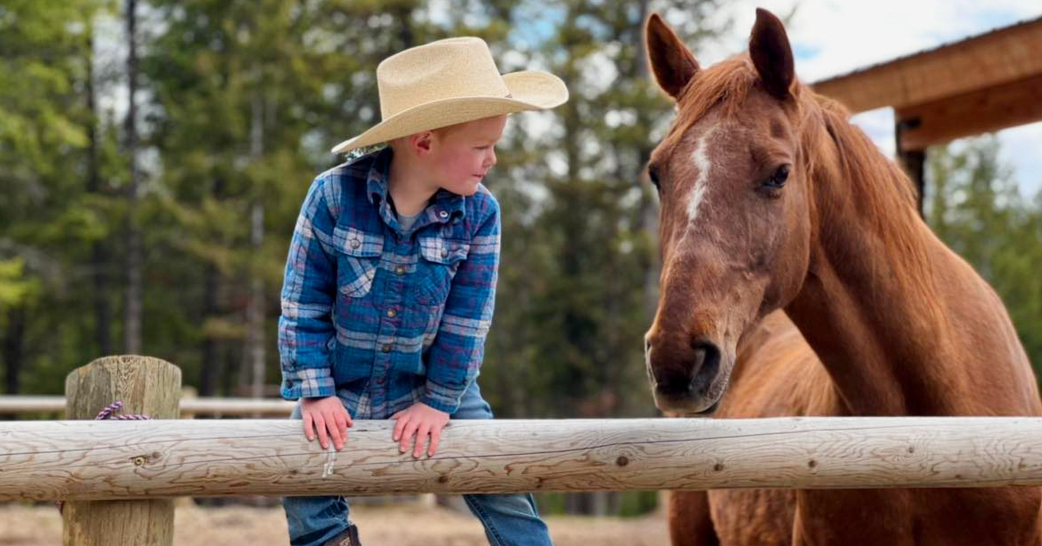 VIDEO: 4-Year-Old Cowboy Learns Lessons of Life With His Beautiful Mare ...