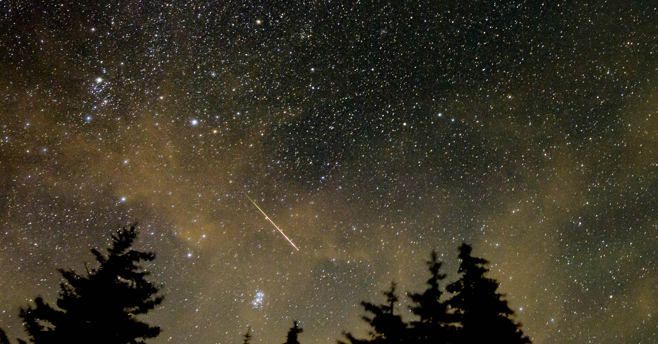 Orionid Meteor Shower to Peak in the Night Sky Late October—Here’s How ...