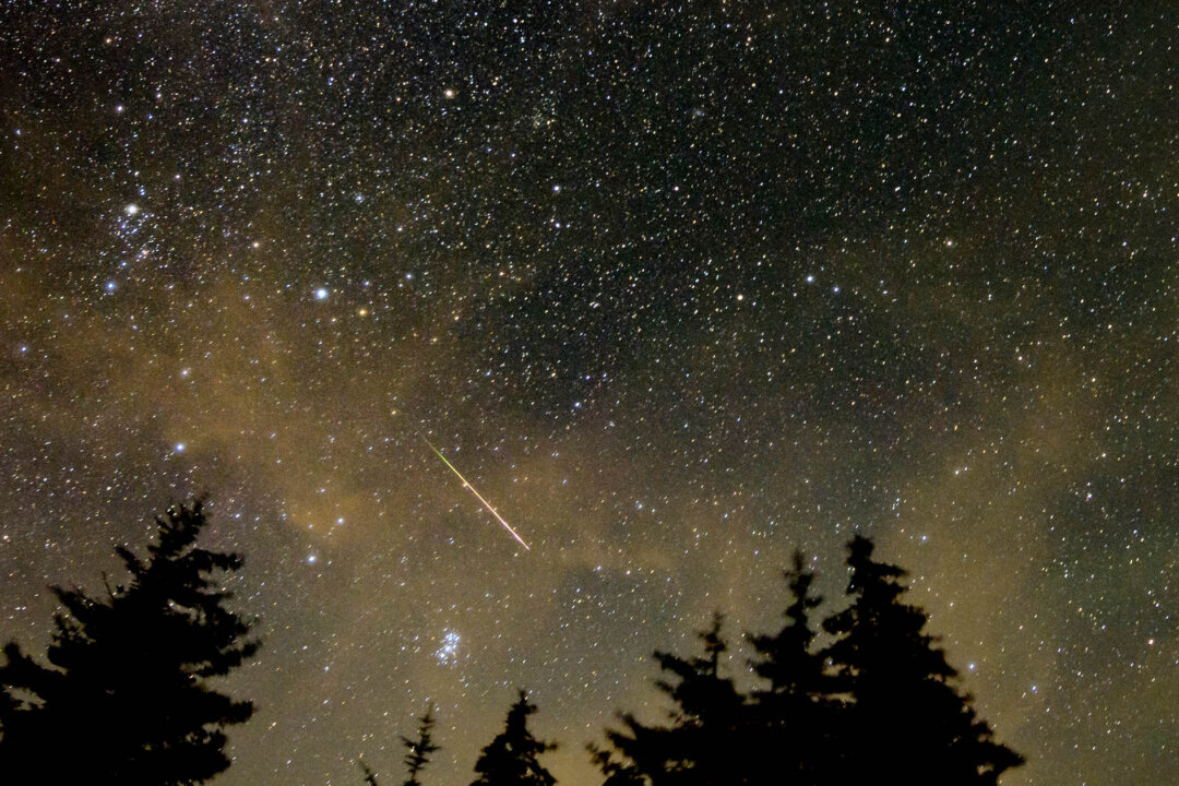 Orionid Meteor Shower to Peak in the Night Sky Late October—Here’s How ...