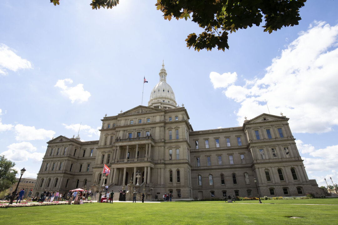 Elizabeth Clement Unanimously Selected as New Michigan Chief Justice ...