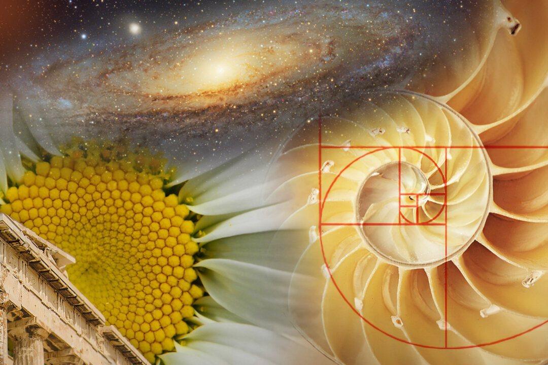 Ancient Architects Used This ‘Divine’ Math Ratio to Inject Natural ...