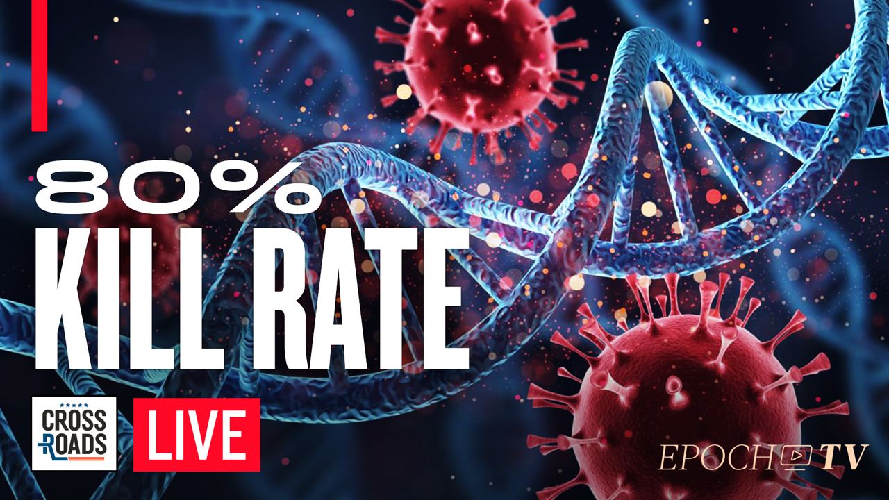 Boston Lab’s 80 Percent Kill Rate Virus Criticized as ‘Playing With ...