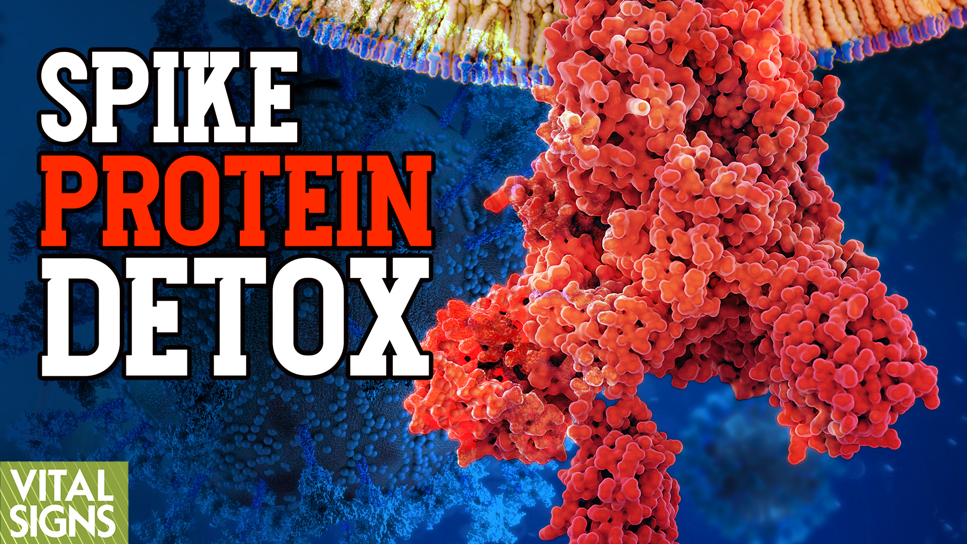 Doctors Treating Long COVID Explain How to Combat Spike Protein & Other ...