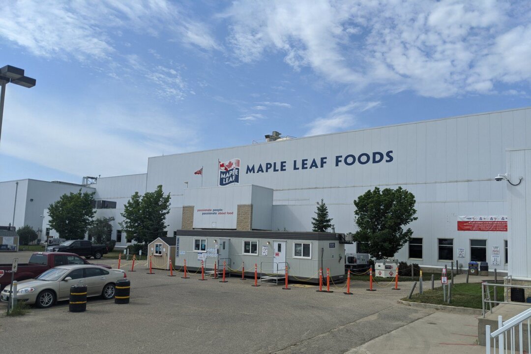 Maple Leaf Foods Takes Plant Protein Business Charge and Reports Q3 ...