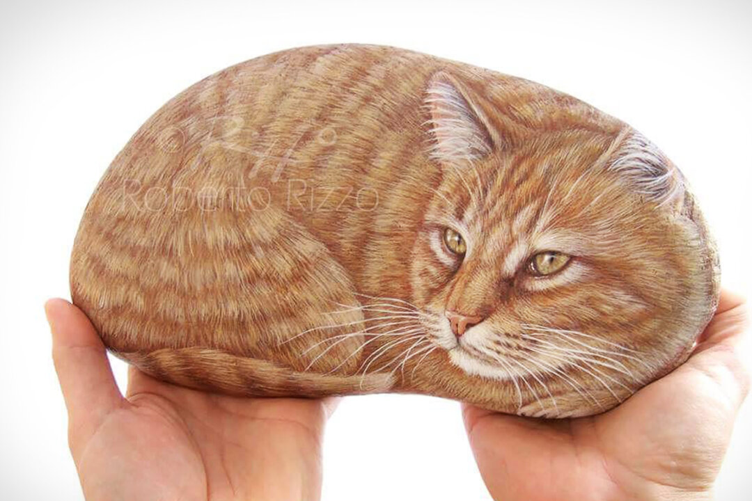 PHOTOS: Artist Paints Realistic Animal Portraits With Uncanny Accuracy ...