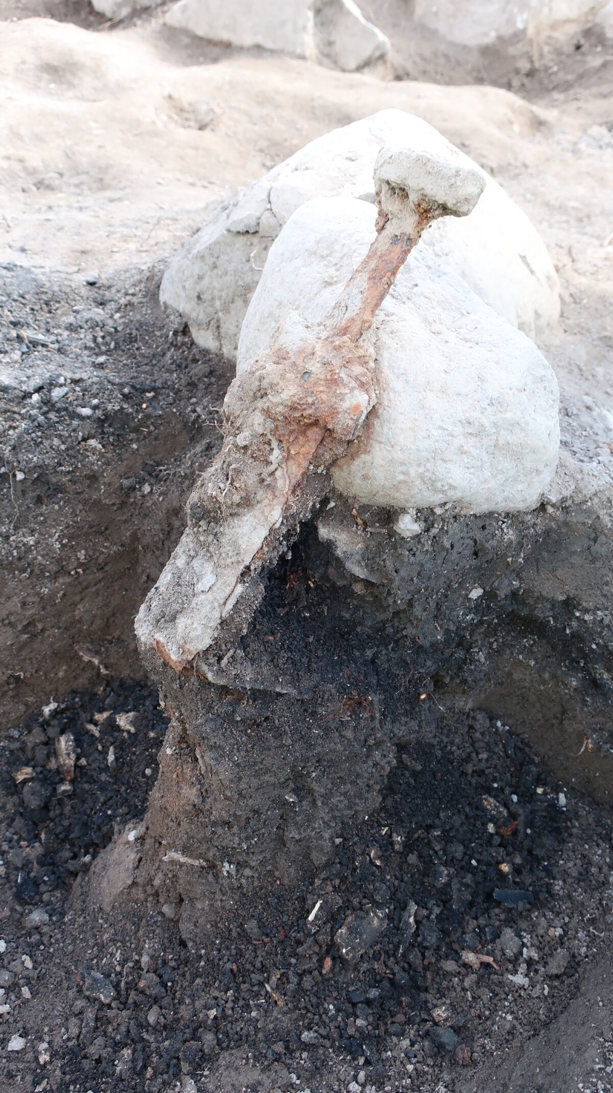 Archeologists Find 2 Viking-Erа Swords Plunged Upright Into the Ground ...