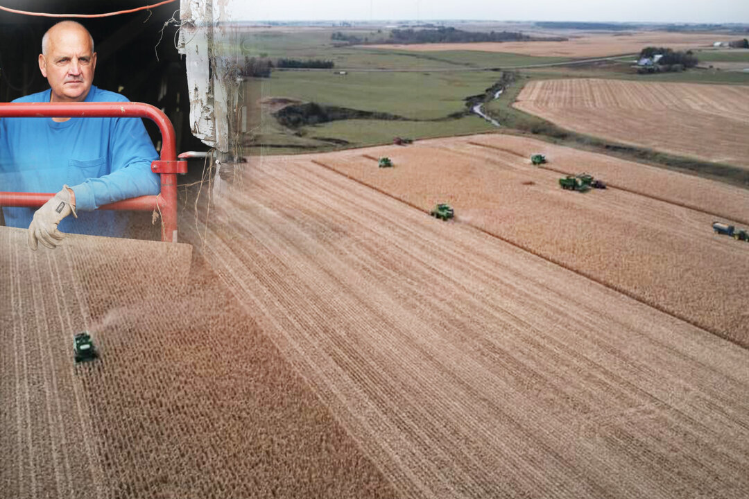 100 Farmers, Neighbors Help Harvest Iowa Farmer’s Crops After He Died ...