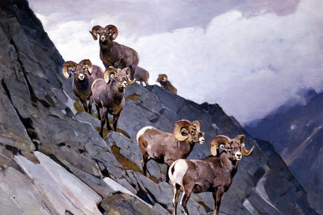 Beauty Is a Vacation: Exploring the Works of Wildlife Artist Carl ...