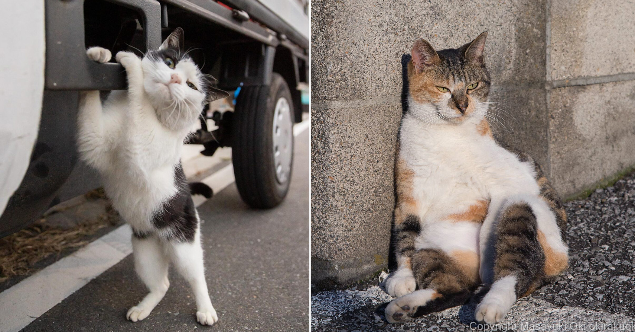 Photographer’s Timely Shots Capture the Goofy Shenanigans of Street ...