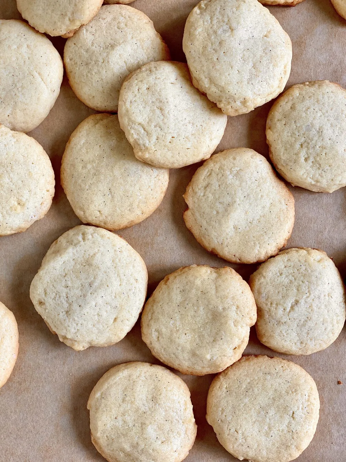 These Homemade Vanilla Wafers Will Blow Your Mind