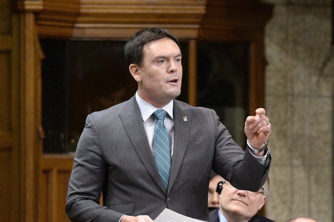 ‘This Is the Wild West We’re in Right Now’: Committee Examining Feds ...