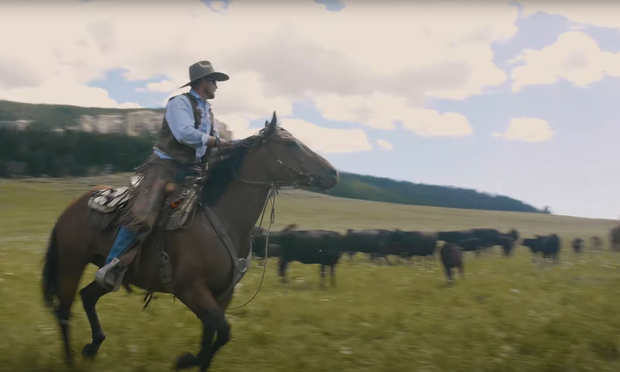 Cowboy Family Trails Cattle Up Same Mountains Since 1887, Now Guides ...