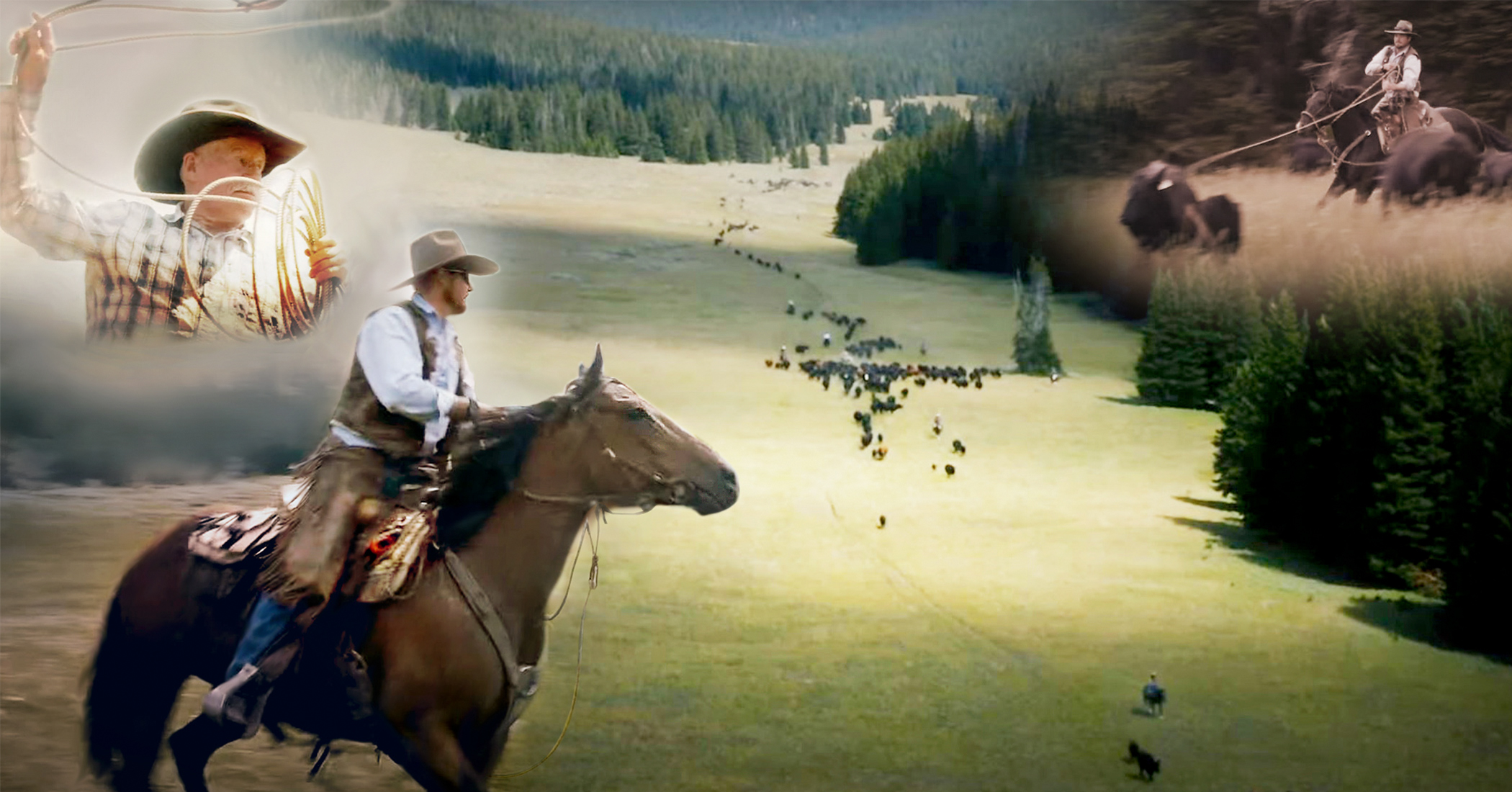 Cowboy Family Trails Cattle Up Same Mountains Since 1887, Now Guides ...