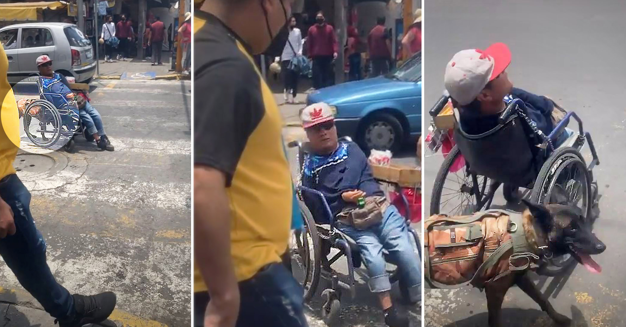 VIDEO: Loyal K9 Amazingly Pushes Disabled Owner in Wheelchair Across ...