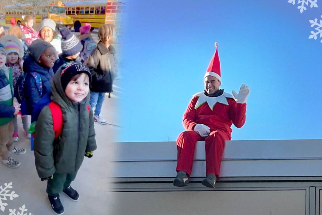 Principal Plays ‘Elf on the Shelf’ at School by Sitting on Roof to ...