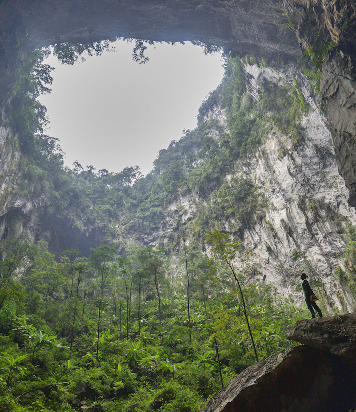 Like ‘Jurassic World’: Villager Stumbles on Largest Cave in the World ...