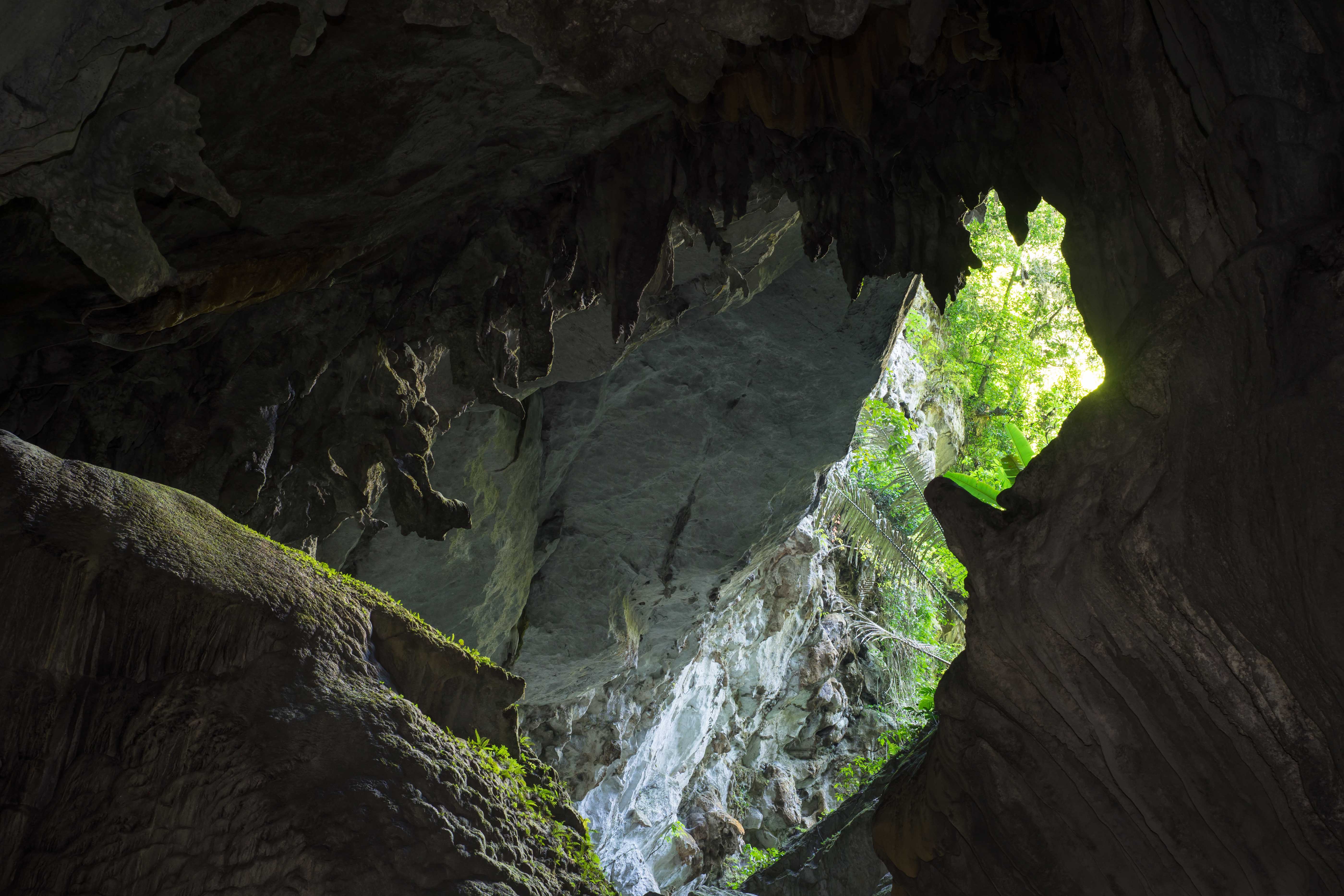 Like ‘Jurassic World’: Villager Stumbles on Largest Cave in the World ...