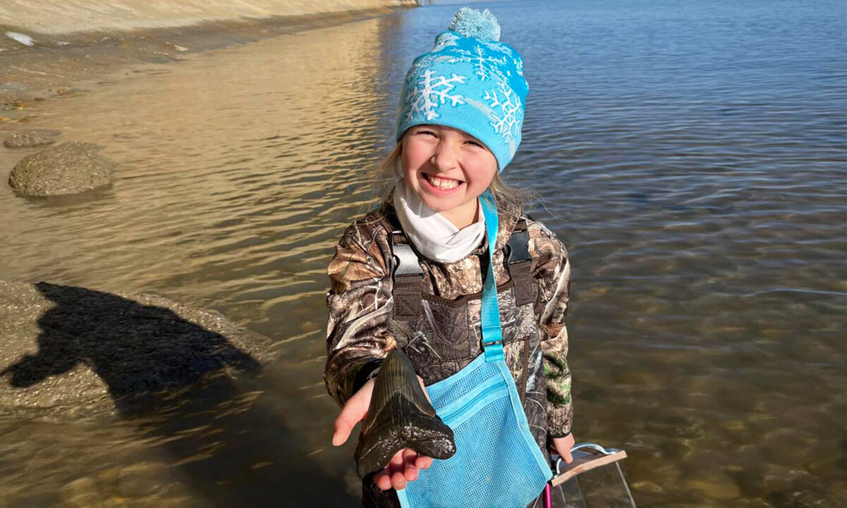 Girl, 9, Finds ‘Once-in-a-Lifetime’ Huge Shark Tooth From 15 Million ...