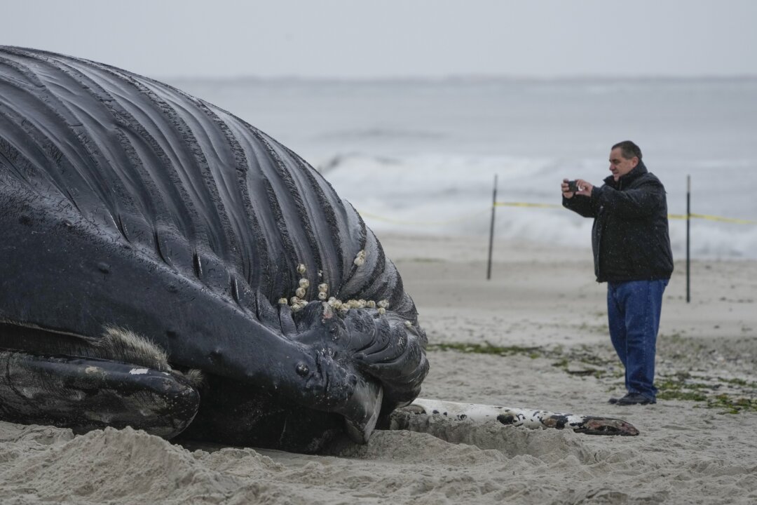 Federal Watchdogs to Investigate Offshore Wind Turbines Amid Surge in ...