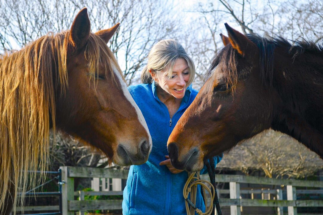 Once Saved by Wild Mustangs, This Alabama Woman Is on a Mission to ...