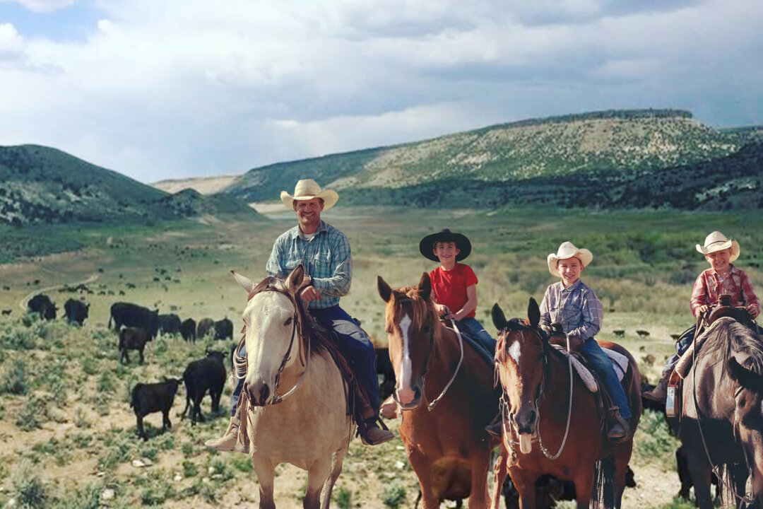 Ranchers Since 1878: Family With Over ﻿100,000 Acres Say They'll Pass ...