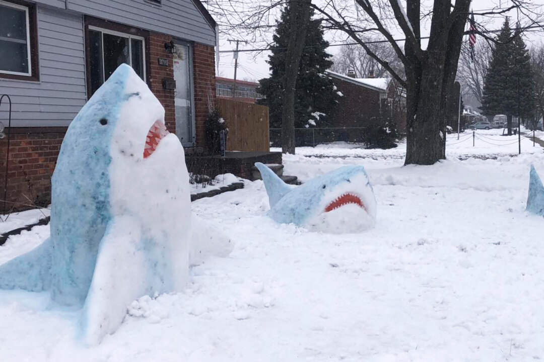 Michigan Art Teacher Creates Incredible Front Yard ‘Snow Sharks’ That ...