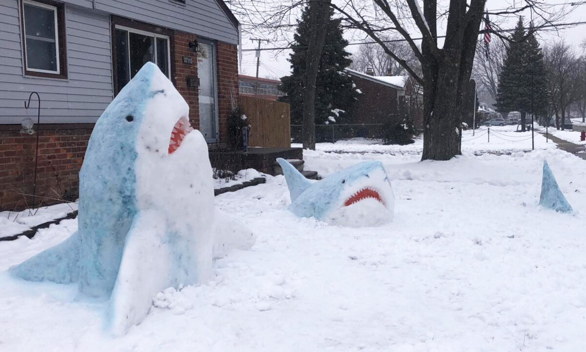 Michigan Art Teacher Creates Incredible Front Yard ‘Snow Sharks’ That ...