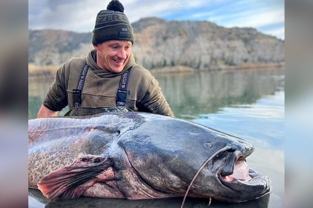 Angler Sees Tug on Line, Battles 222-Pound Monster Catfish That Drags ...
