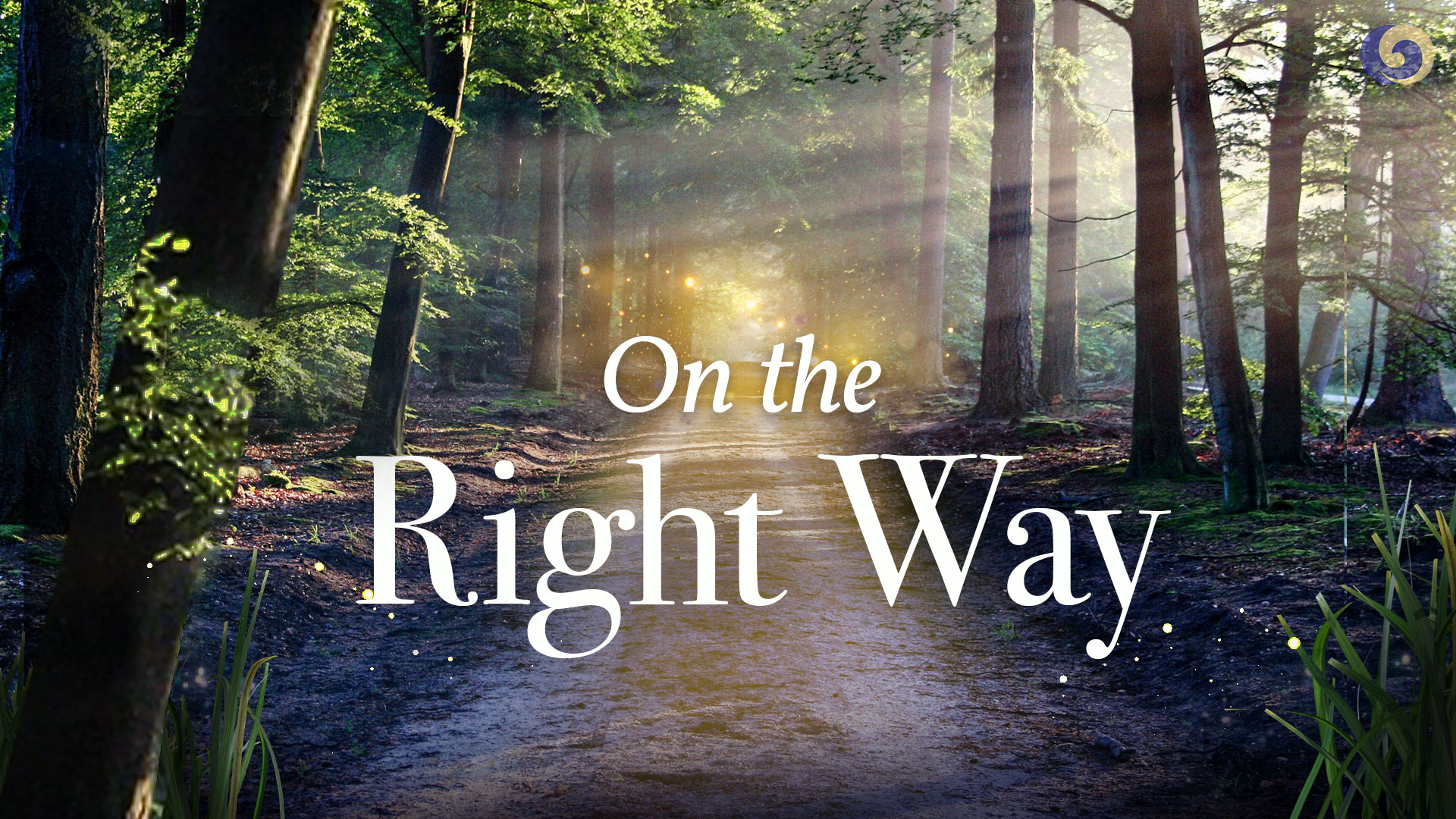 Chinese Dizi Solo: This Song Depicts the Courageous and Diligent ...