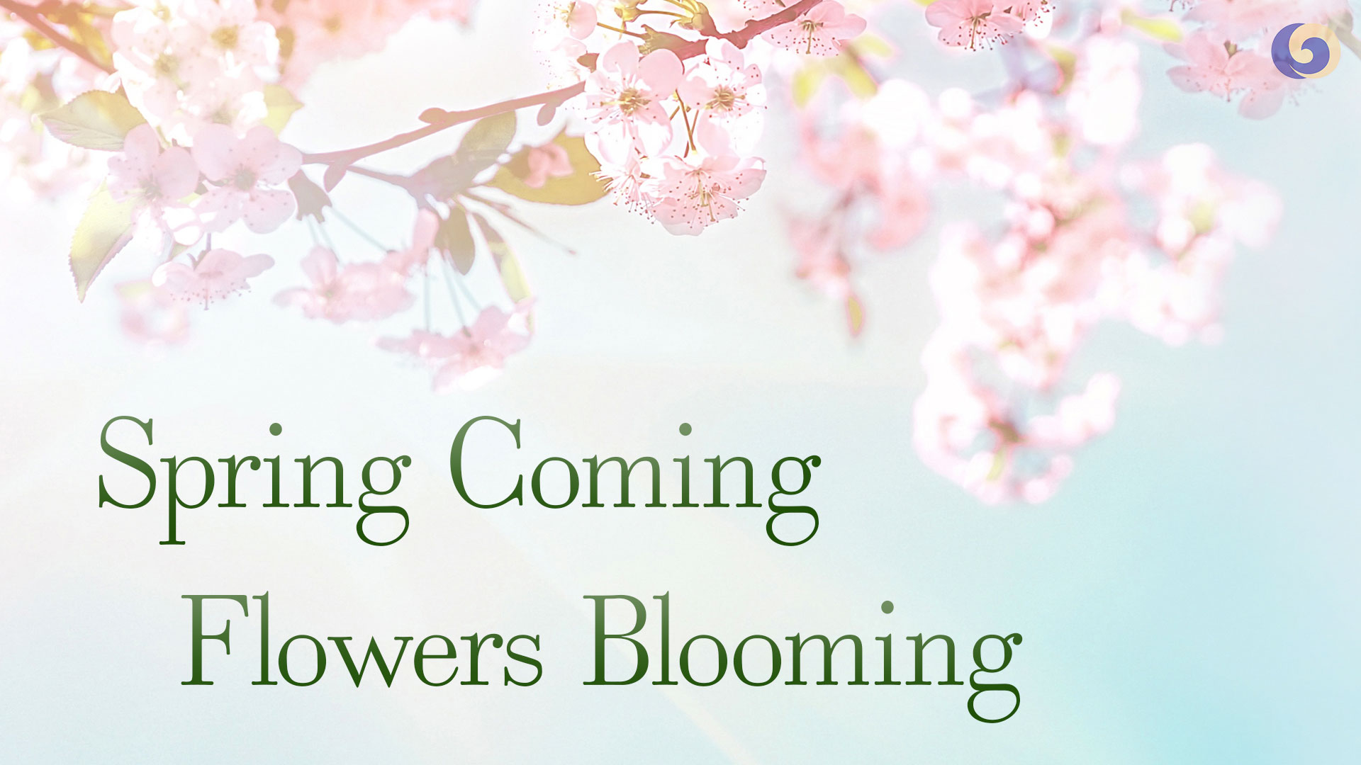 Spring Coming, Flowers Blooming’: A Song That Brings Courage and Hope ...