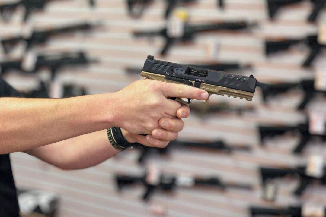 IN-DEPTH: First Smart Gun With Fingerprint Unlocking Hits the Market ...