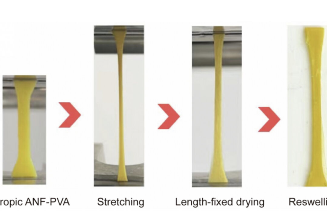 HKU Develops Tendon-Mimetic Hydrogels for Human Tissue Repair and ...