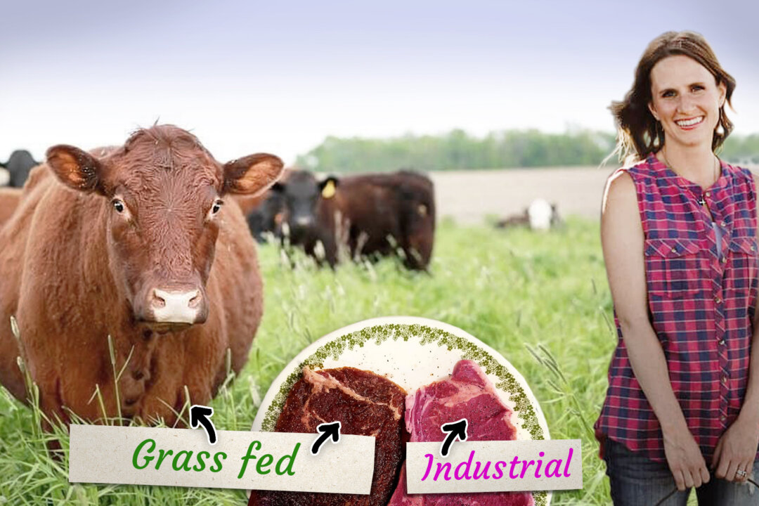 ‘Why Is Everyone So Sick?’: Nurse Quits Her Job to Raise Organic Grass ...