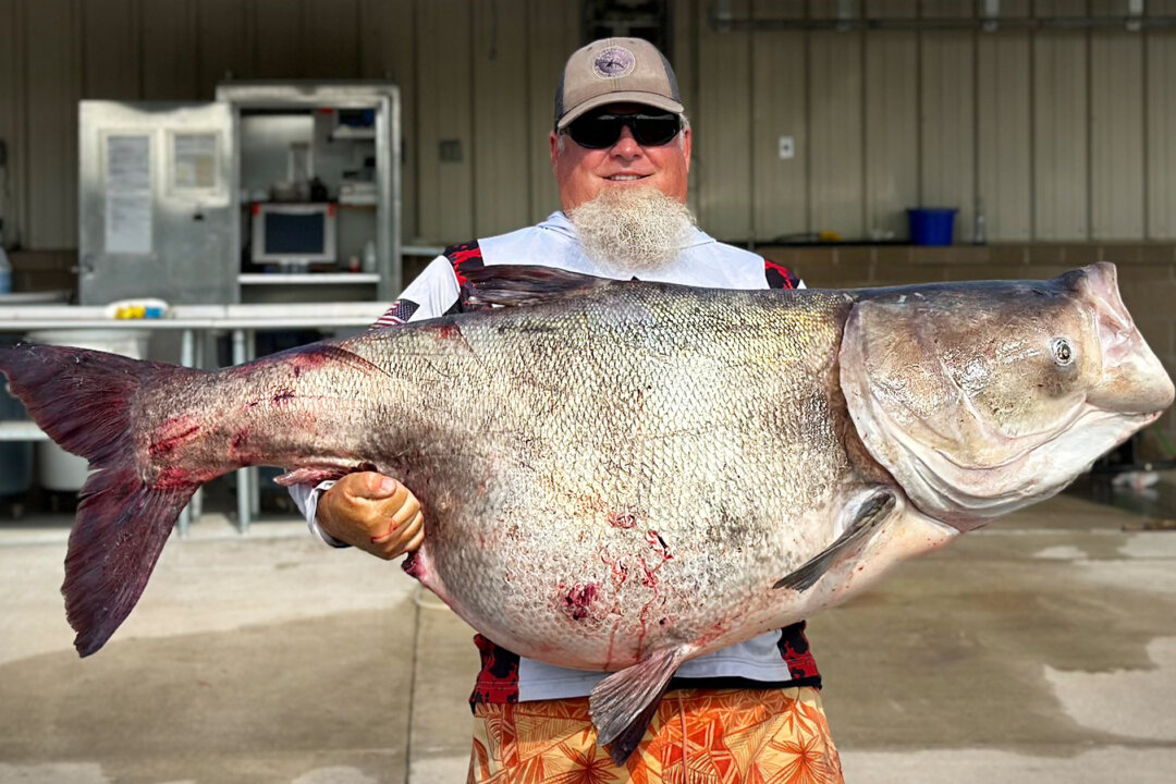 Holy Carp! Oklahoma Angler Reels in Huge ‘Nuisance’ Bighead Weighing ...