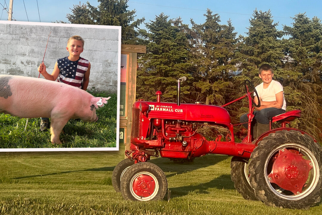 Boy, 10, Buys Antique Tractor With $2,800 Life Savings to Help Tend the ...
