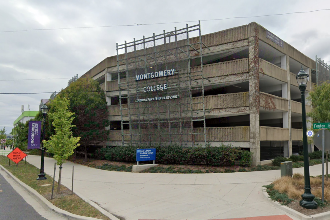 Maryland Professor Fired After Ordering Female Students to Strip Off ...