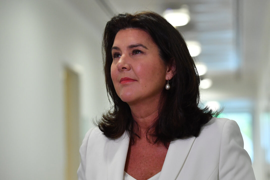 ‘Asleep at the Wheel’: Senator Decries Labor Over Data Leaks, Warns of ...